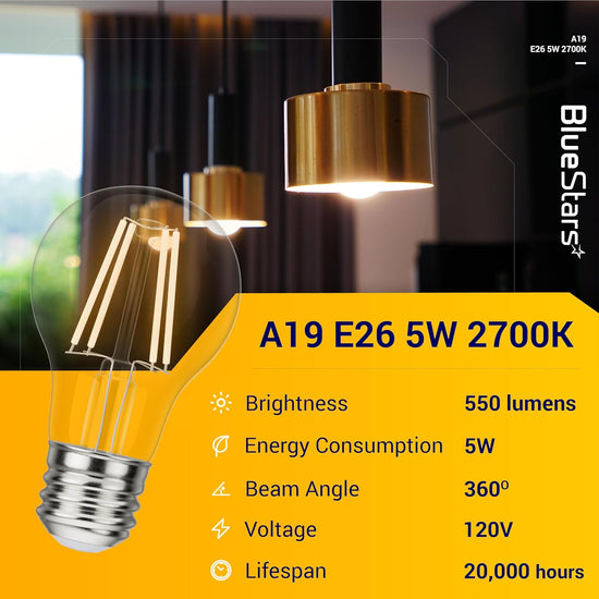 A19 E26 Vintage LED Filament Bulb | 60W Eq. 2700K Warm
